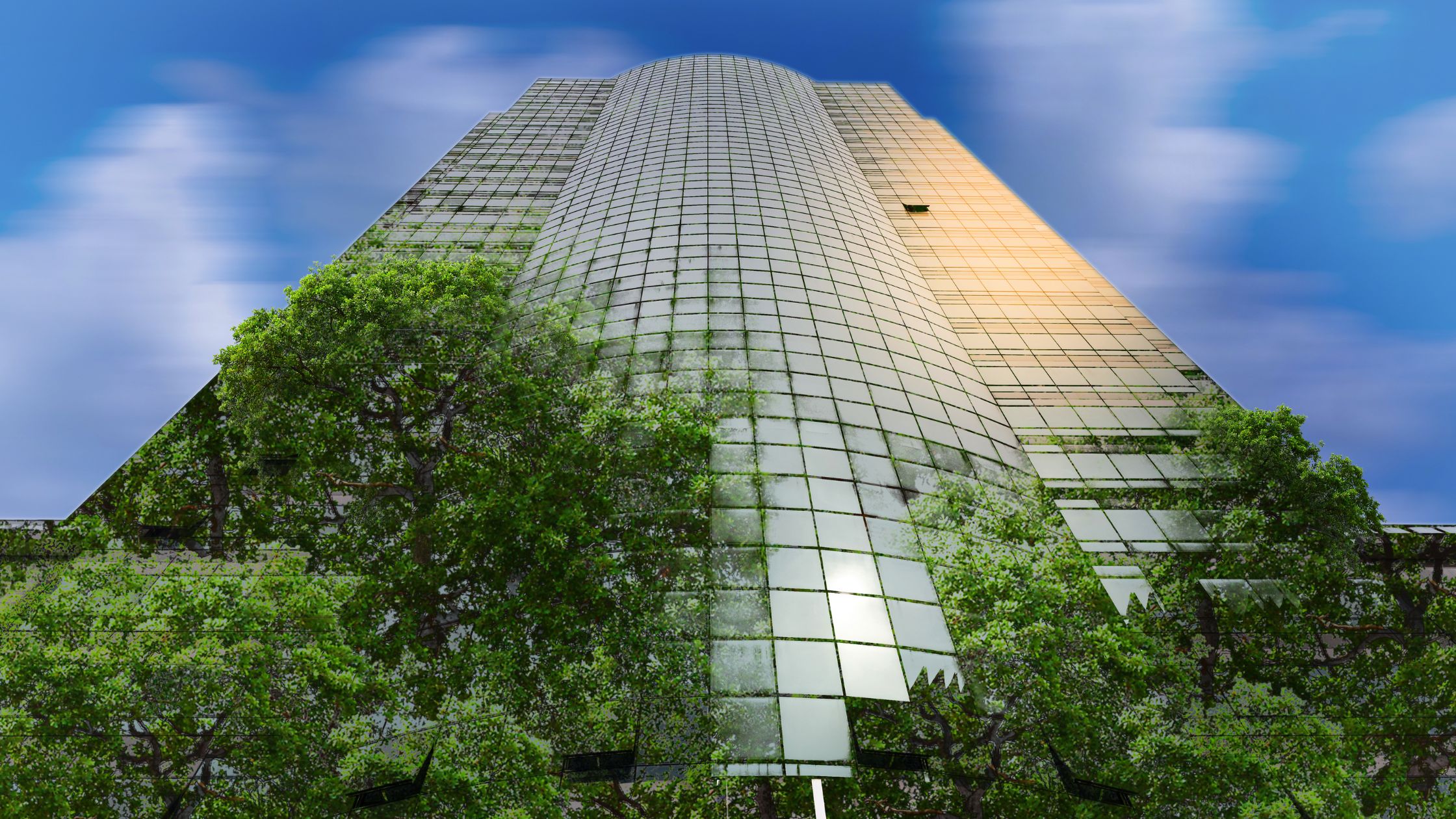 The Evolution and Impact of SBTi in 2024